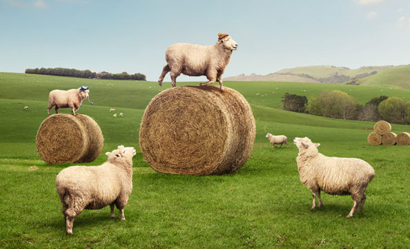 Portfolio | Mat Baker